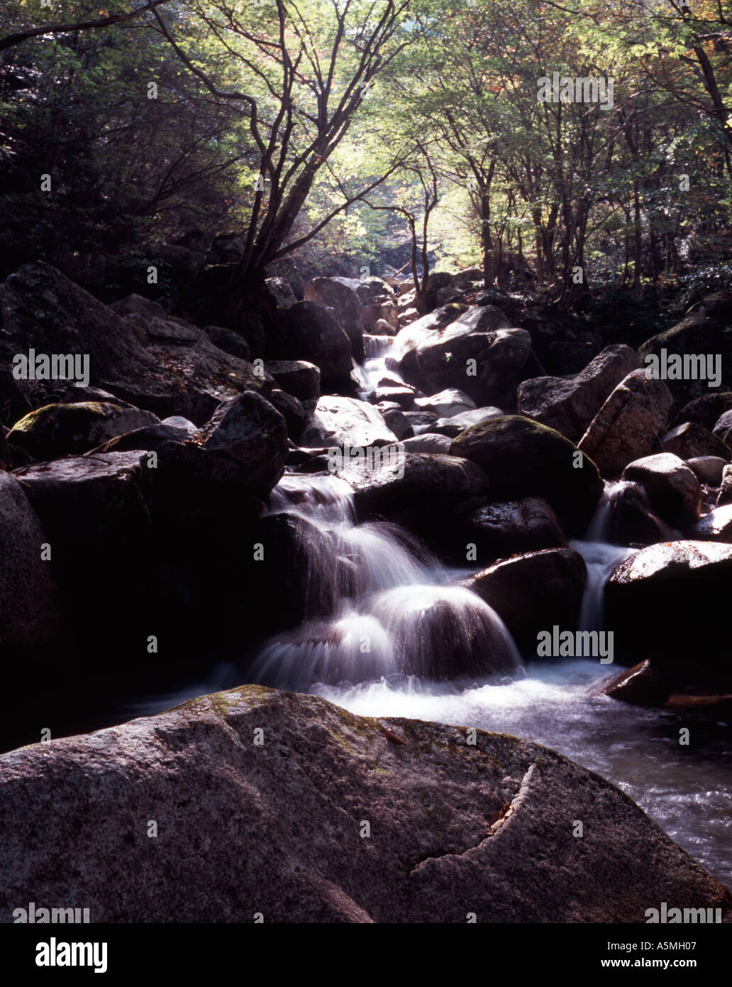 A waterfall Lake Biwa area Shiga Japan Stock Photo - Alamy