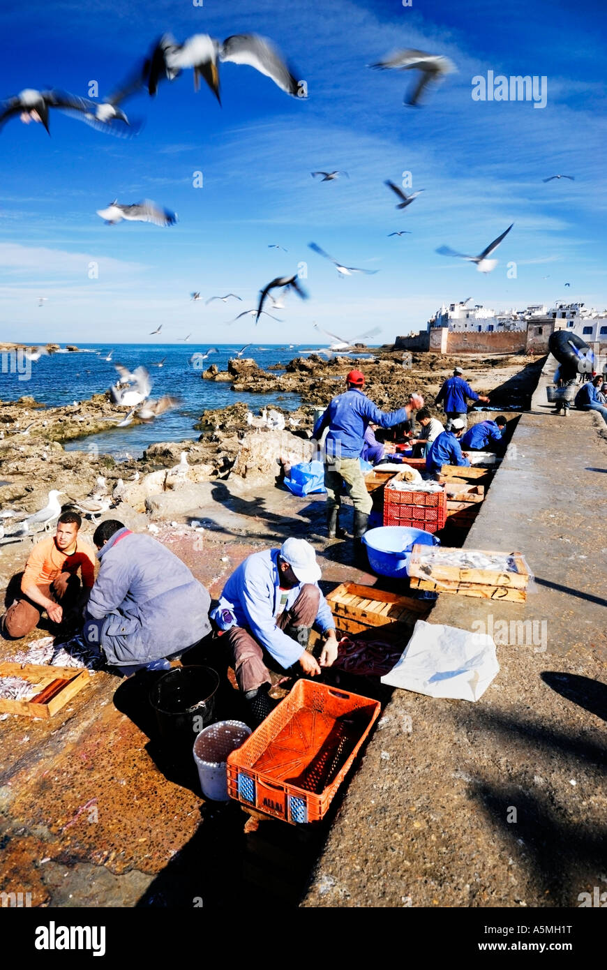 Early morning as fisherman sell their days catch at the fish market in ...