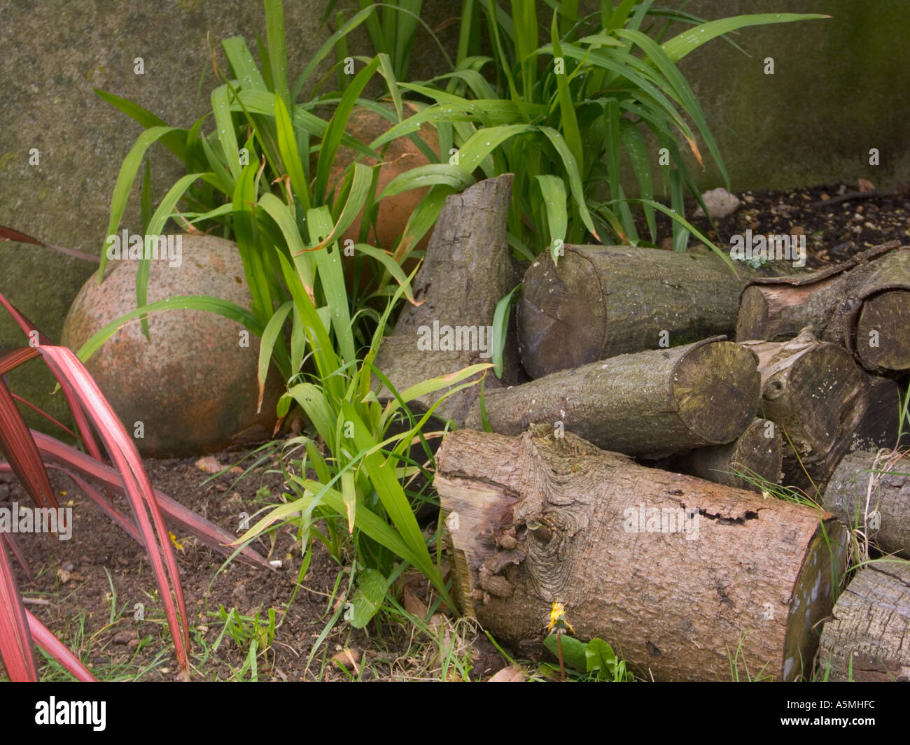 Rotting logs garden wildlife hi-res stock photography and images - Alamy