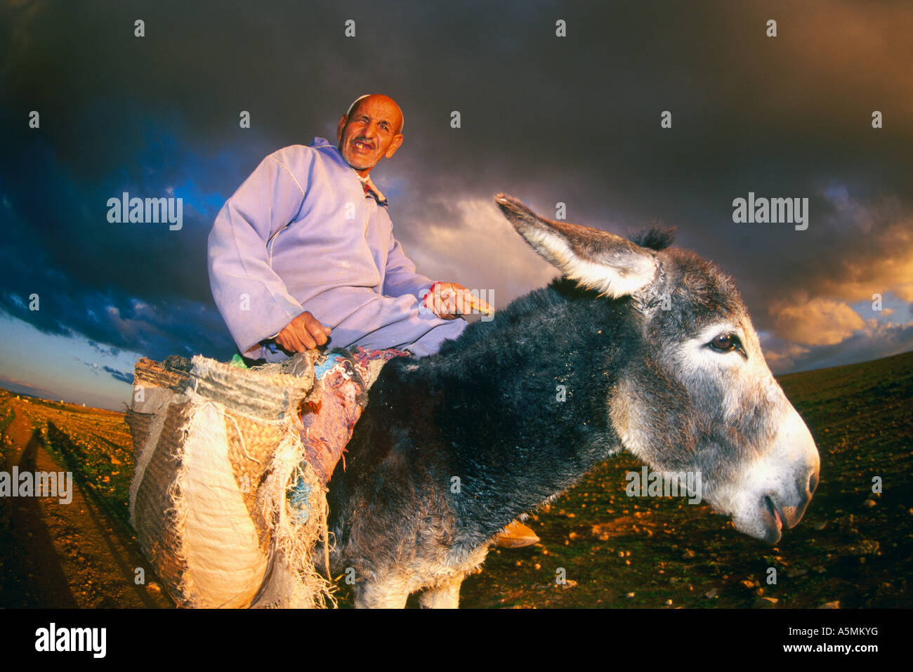 Moroccan sheepherder on mule on painted heavy cloudy sky Stock Photo ...