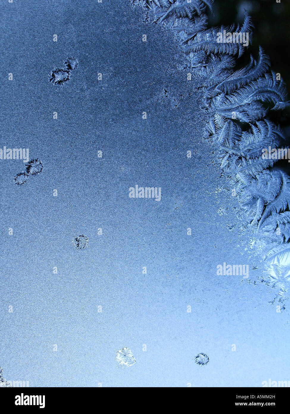 frostworks, ice ferns Stock Photo - Alamy