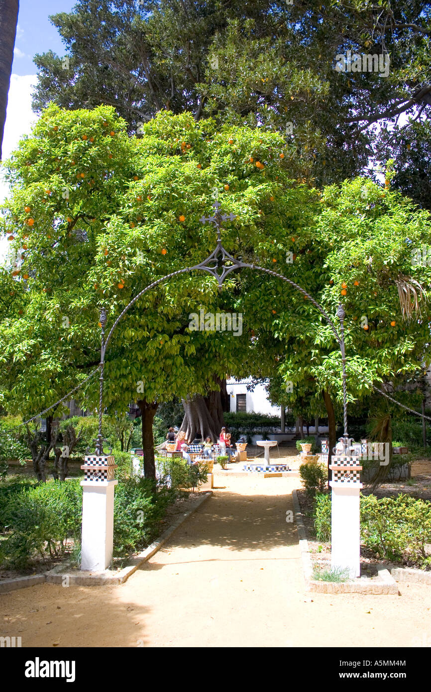 A Spanish ally and garden in Seville Stock Photo - Alamy