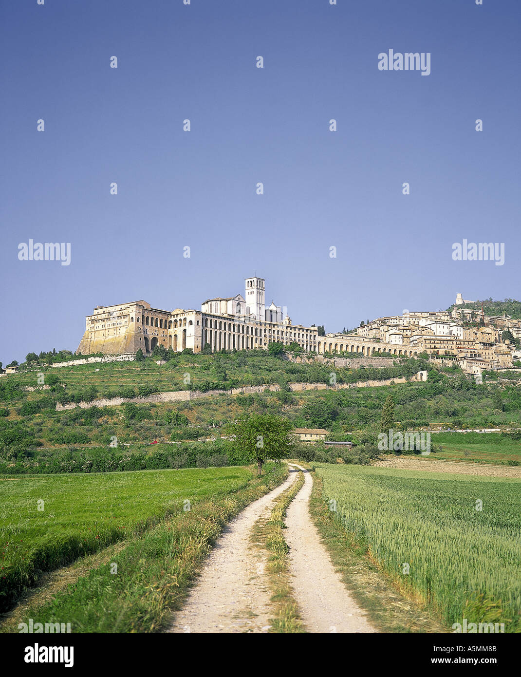 Assisi Umbria Italy Stock Photo - Alamy