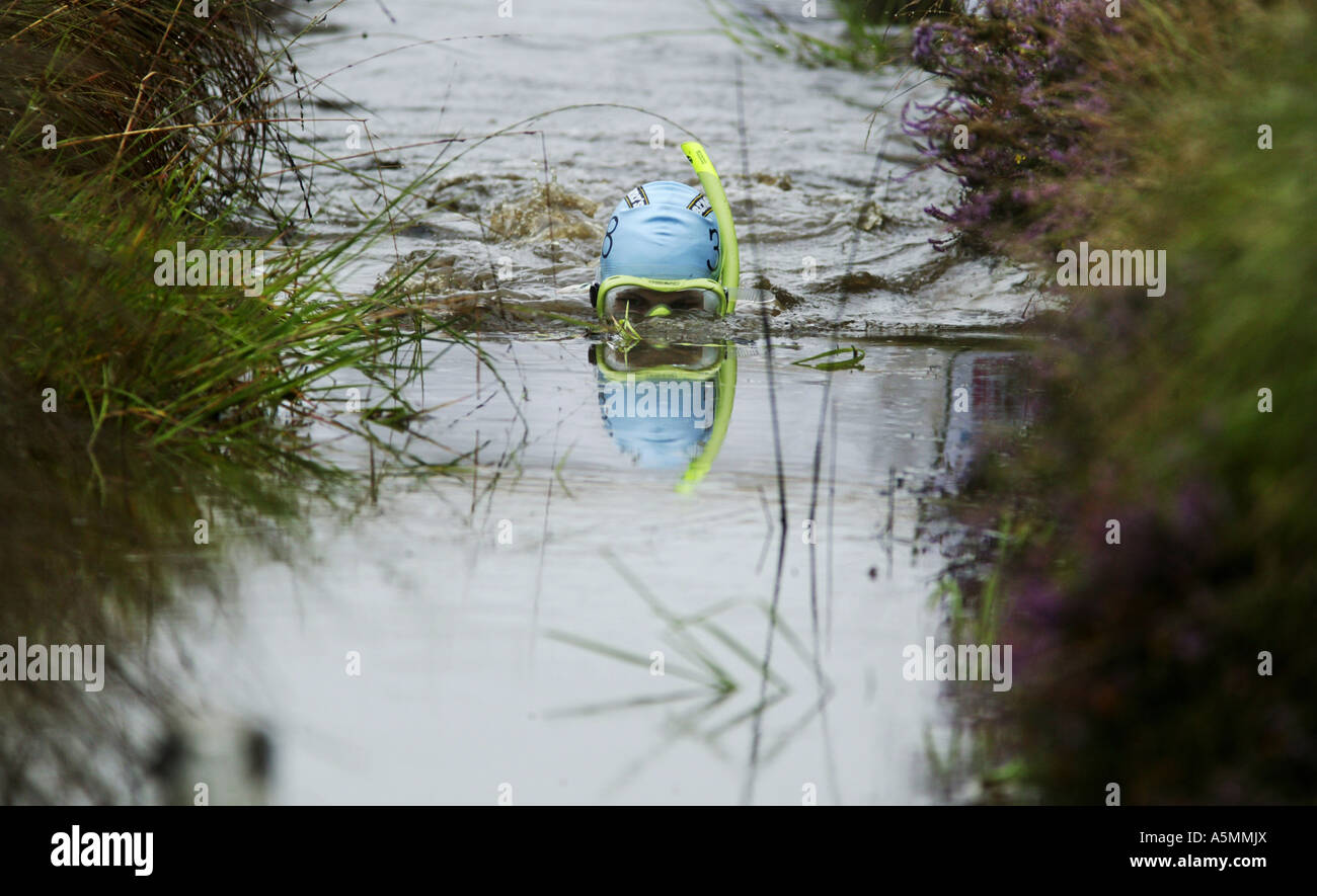 The World Bog Snorkelling Championships at the Waen Ryth peat bog in ...