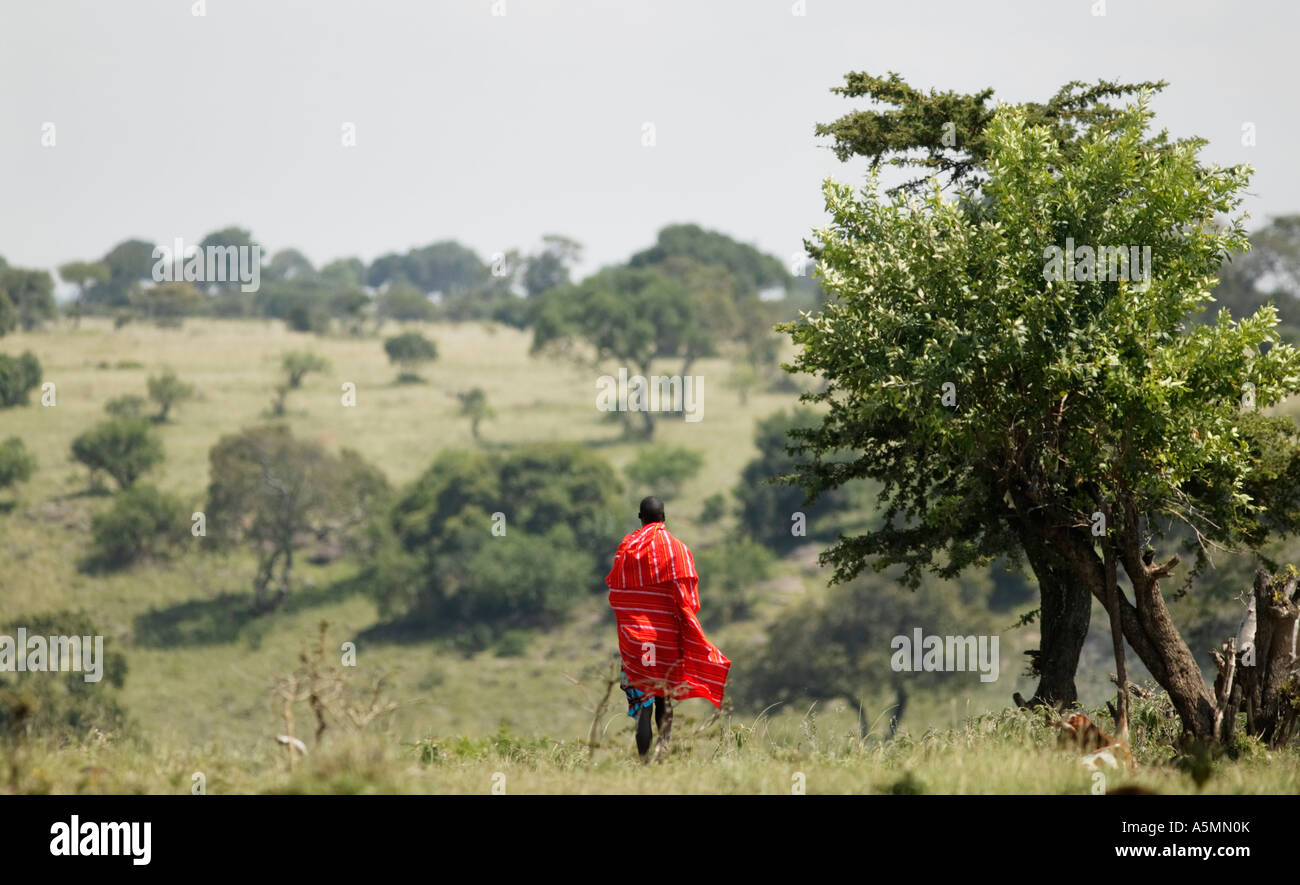 A Masai tribesman walking through the countryside in Kenya Africa Stock ...