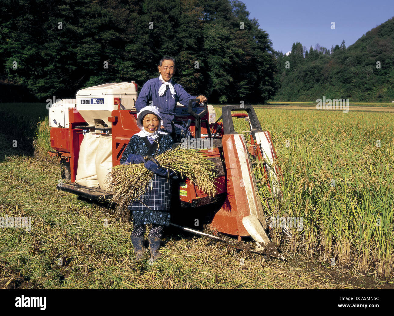 Japan rice harvester hi-res stock photography and images - Alamy