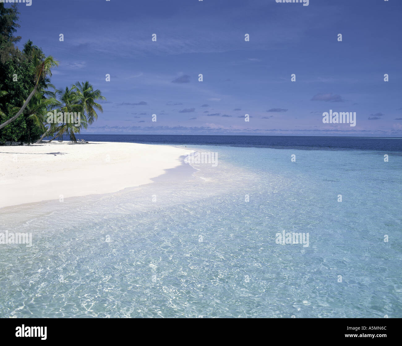 Tropical beach on Ihuru island of Maldives Stock Photo - Alamy