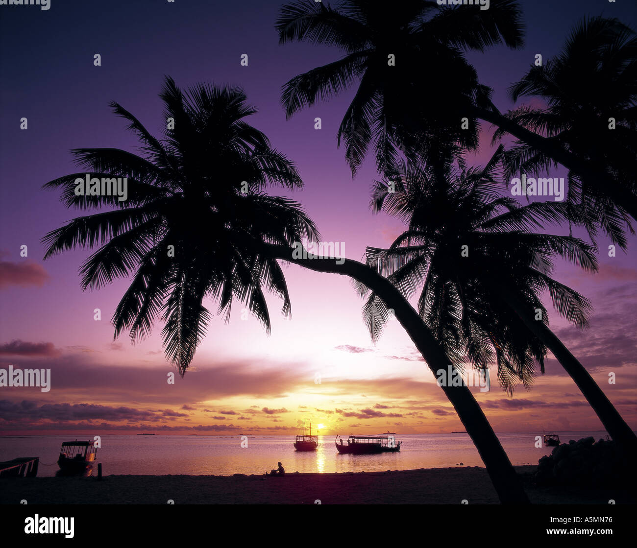 Tropical beach at sunset on island of Maldives Stock Photo - Alamy