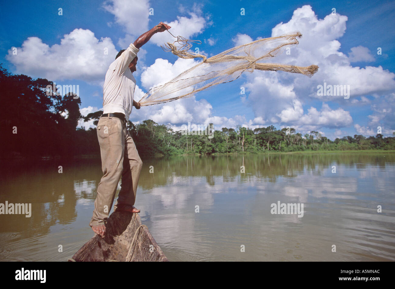 Cast net fishing in remote part of the Amazon rainforest Purus River ...