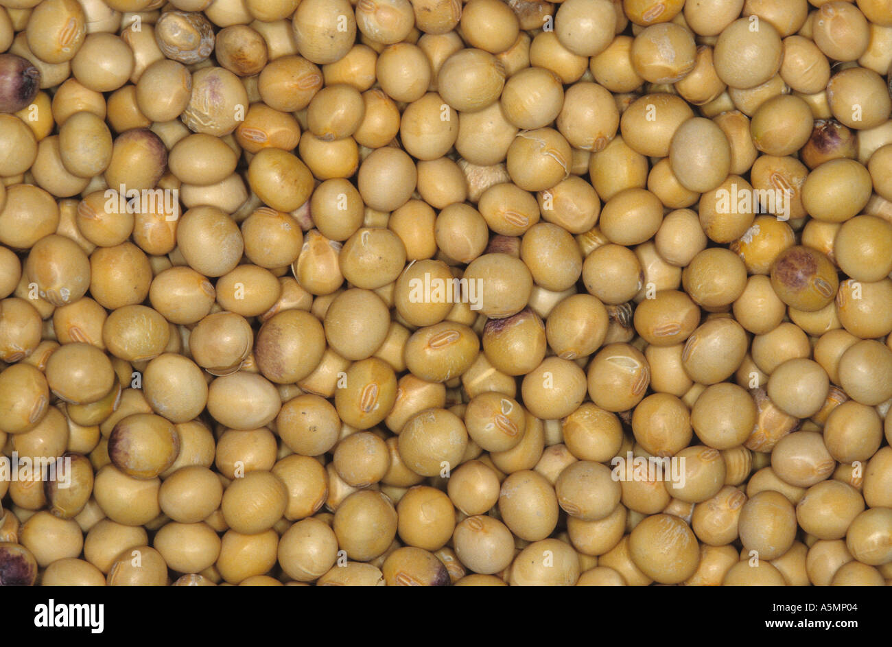 Farm crop mexico hi-res stock photography and images - Alamy