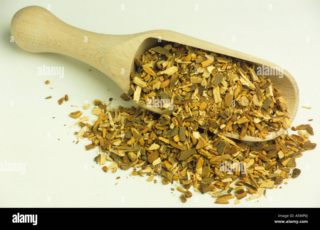 Angustura Galipea officinalis ANGUSTURA Angusturarinde bark corteccia ...