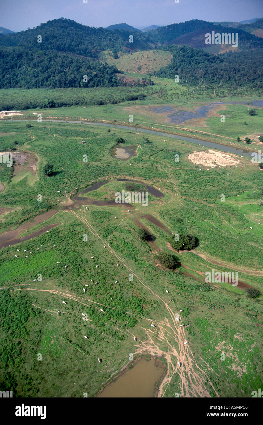 Deforestation in Brazil Stock Photo - Alamy