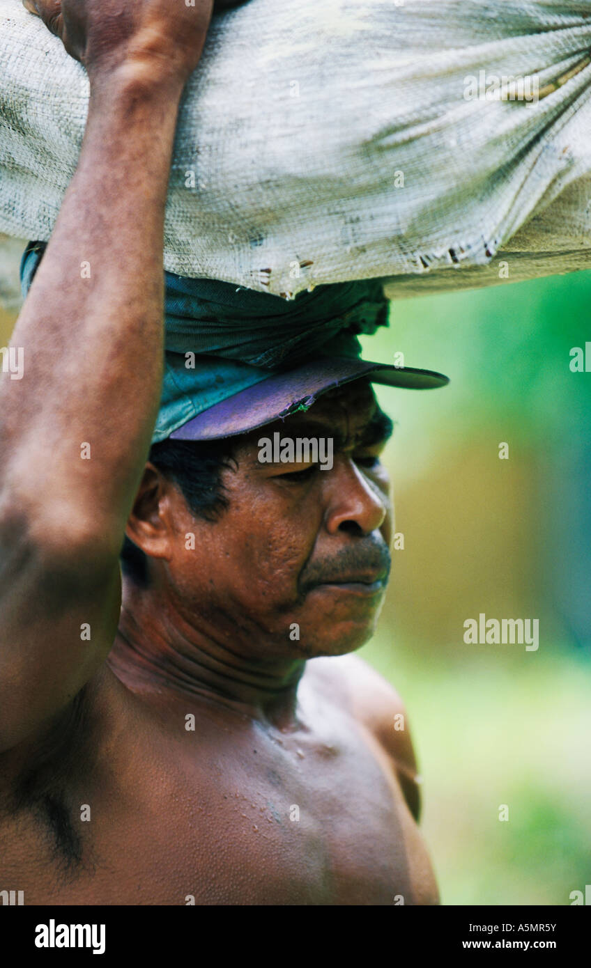 Indian Tribesman High Resolution Stock Photography and Images - Alamy