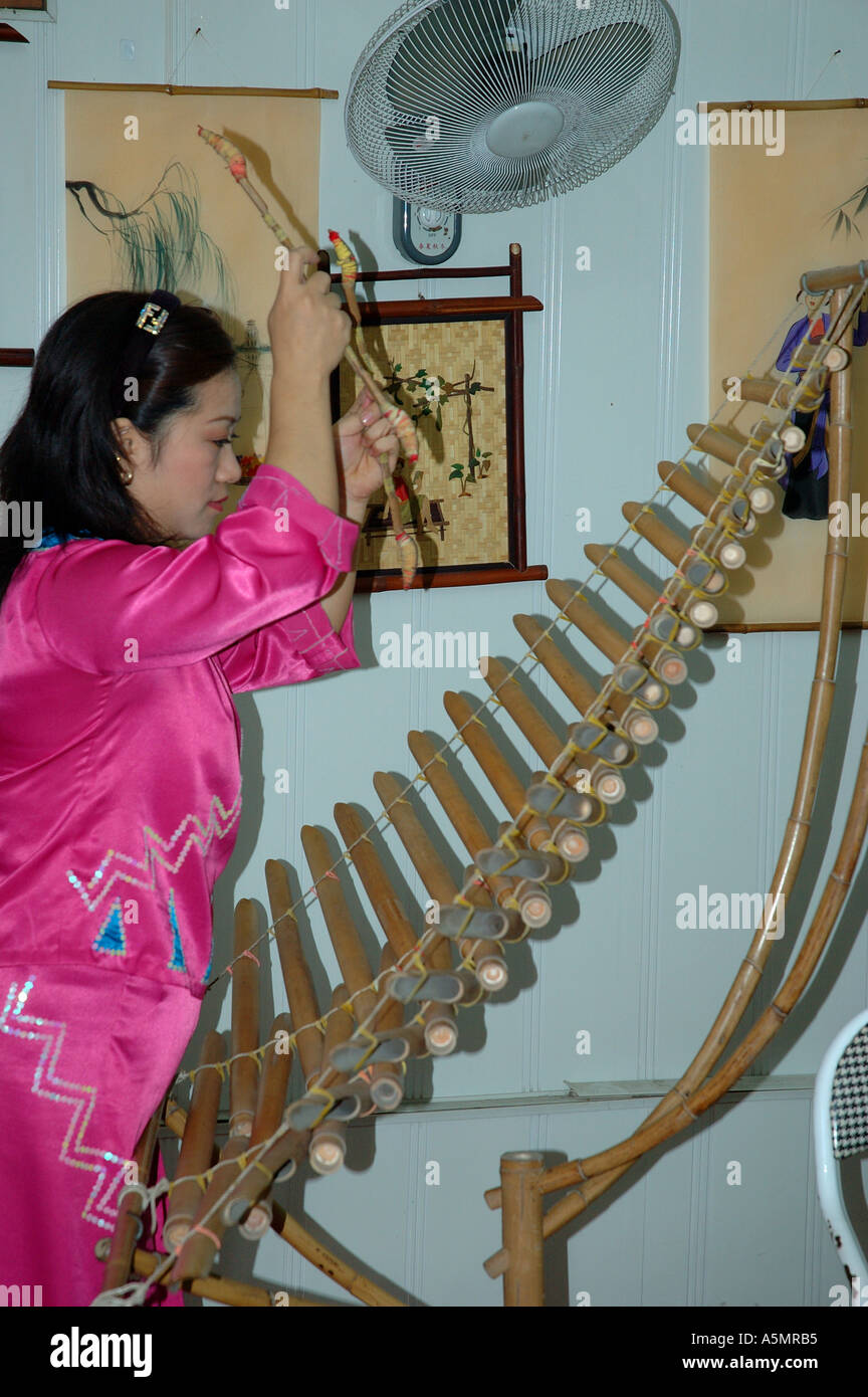 Bamboo instrument at Ho Chi Minh Museum complex Hanoi Vietnam South ...