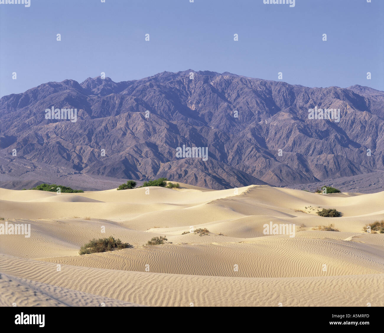 Waves sand desert scrub hi-res stock photography and images - Alamy