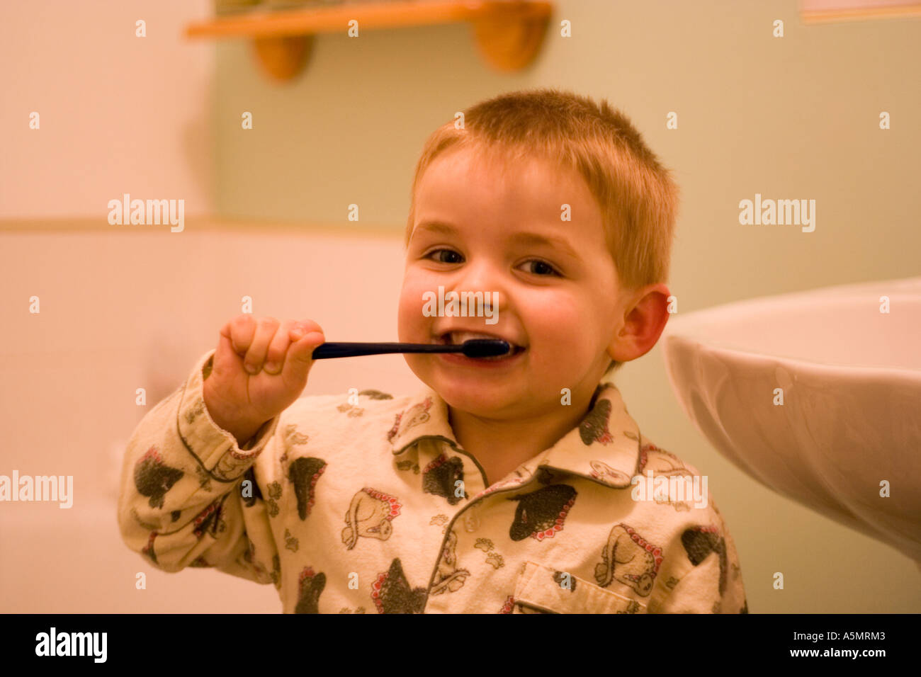 Harry brushing his teeth Stock Photo - Alamy