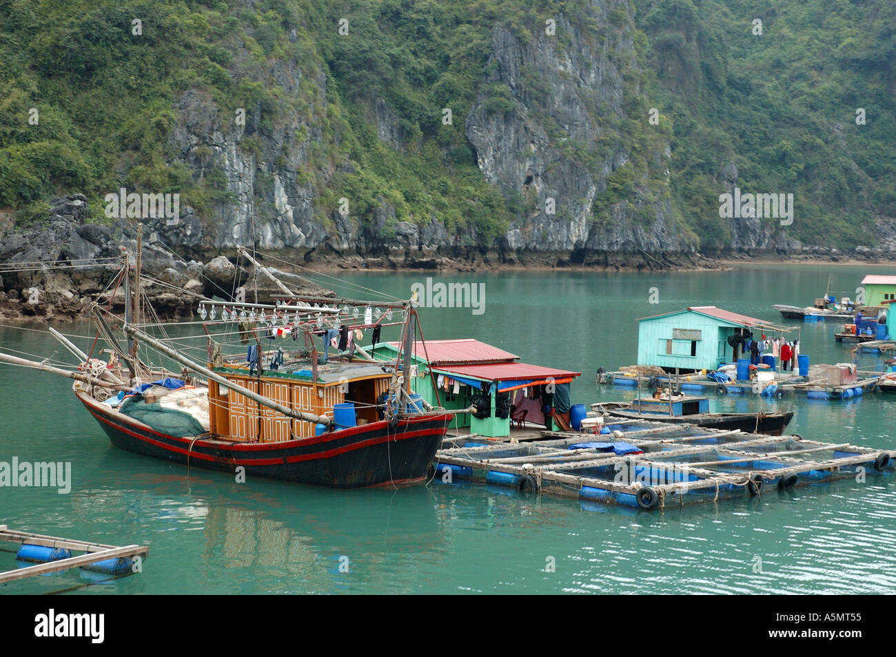 Cat Ba Island Halong Bay Gulf of Tonkin Vietnam South East Asia Fish ...