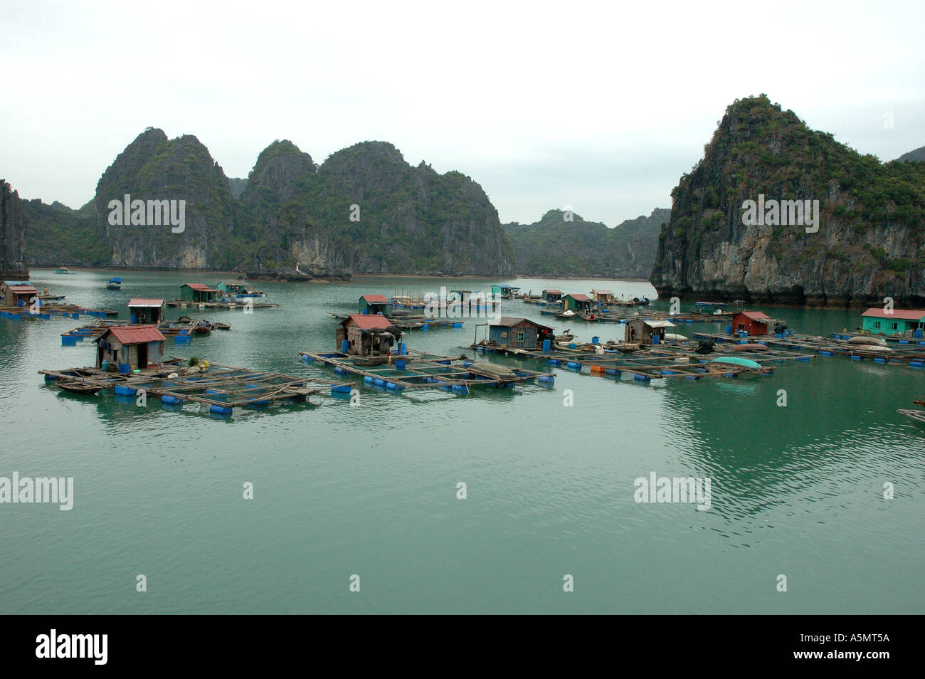 Cat Ba Island Halong Bay Gulf of Tonkin Vietnam South East Asia Fish ...