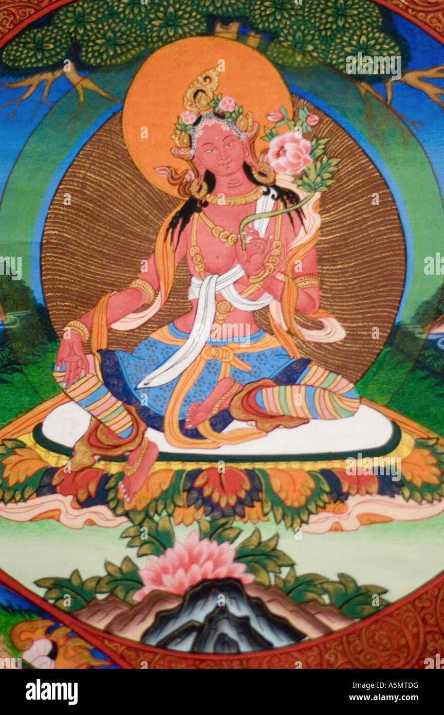 Portrait Red Tara High Resolution Stock Photography and Images - Alamy