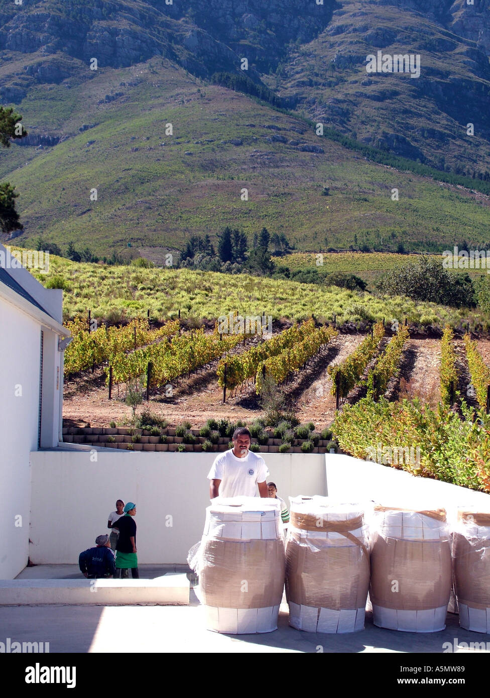 Dieu donne vineyards hi-res stock photography and images - Alamy