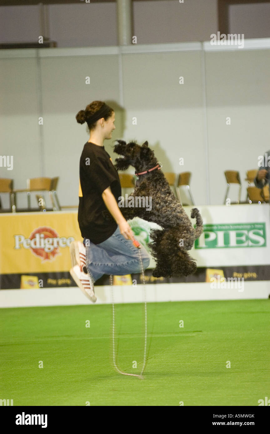 Dog skipping hi-res stock photography and images - Alamy