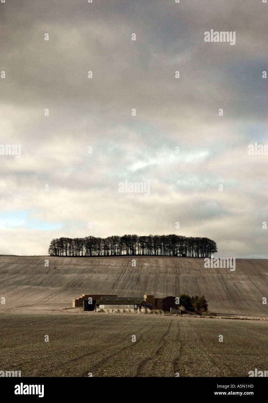 Copse spinney hi-res stock photography and images - Alamy