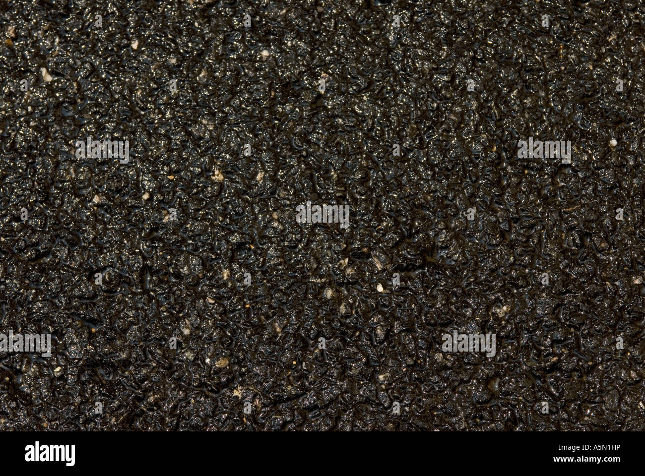a closeup of wet asphalt pavement Stock Photo - Alamy