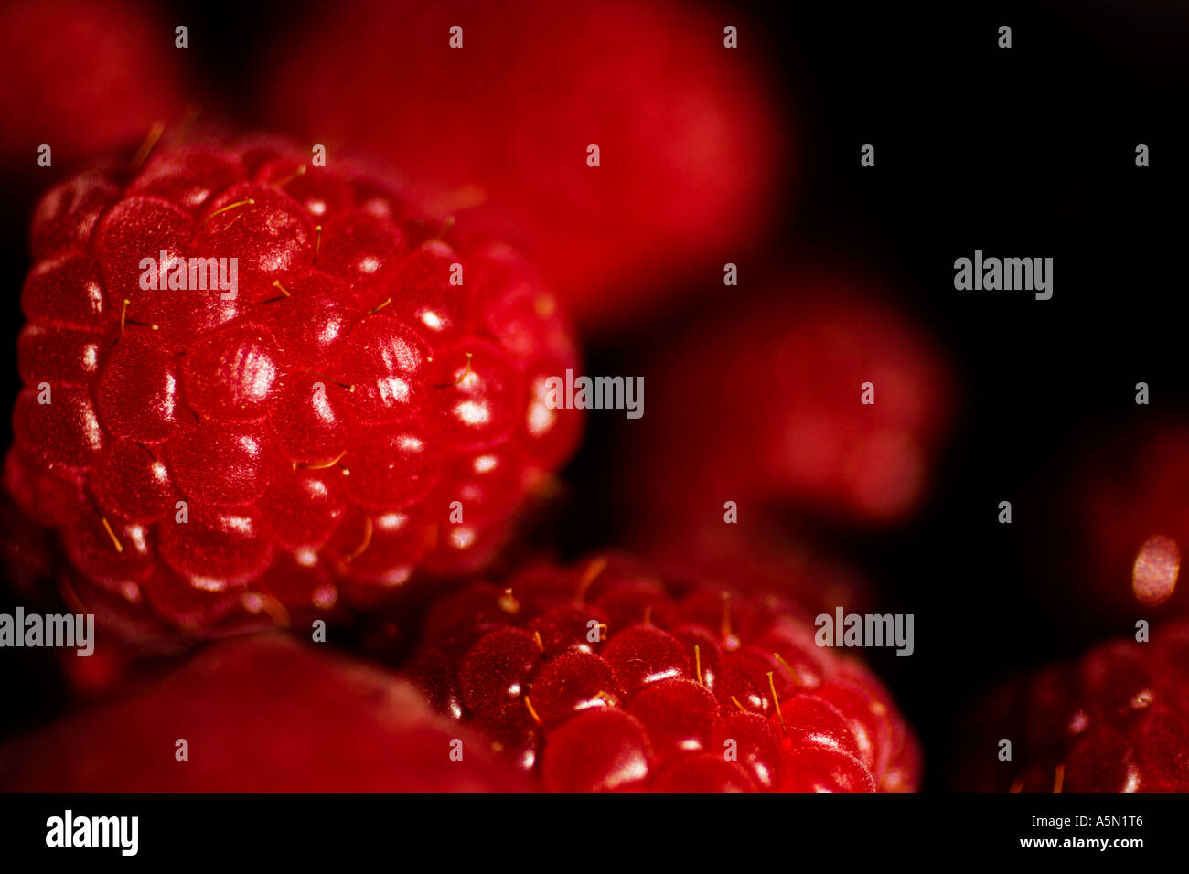 Still life of raspberries Stock Photo - Alamy