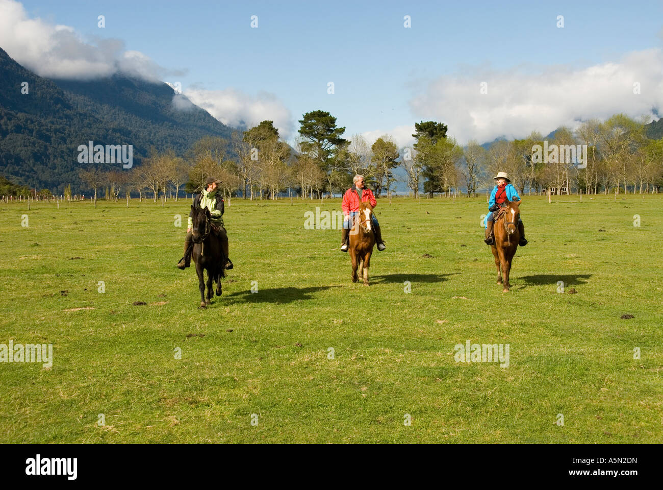 Chile Lake Country People riding horses at Peulla in a meadow in the ...