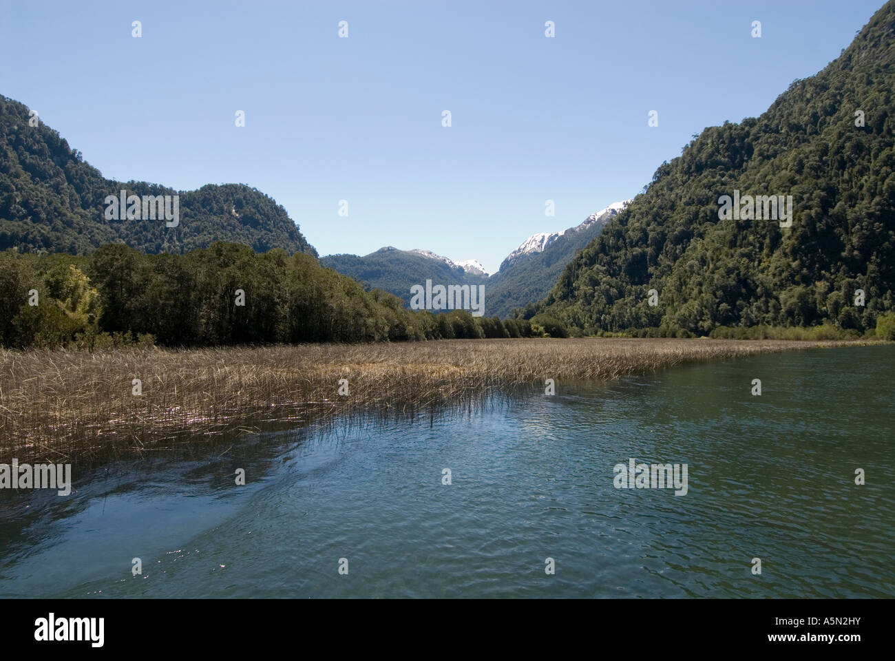 Chile Lake Country Scene while touring the Rio Negro near Peulla Stock ...