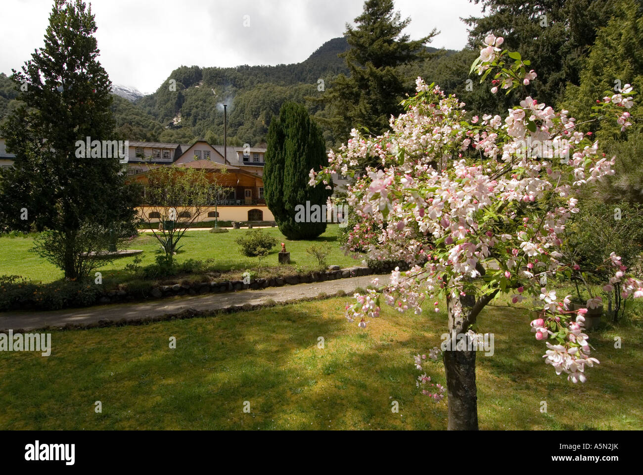 Chile Lake Country Flowering spring scene at Hotel Peulla in Peulla ...