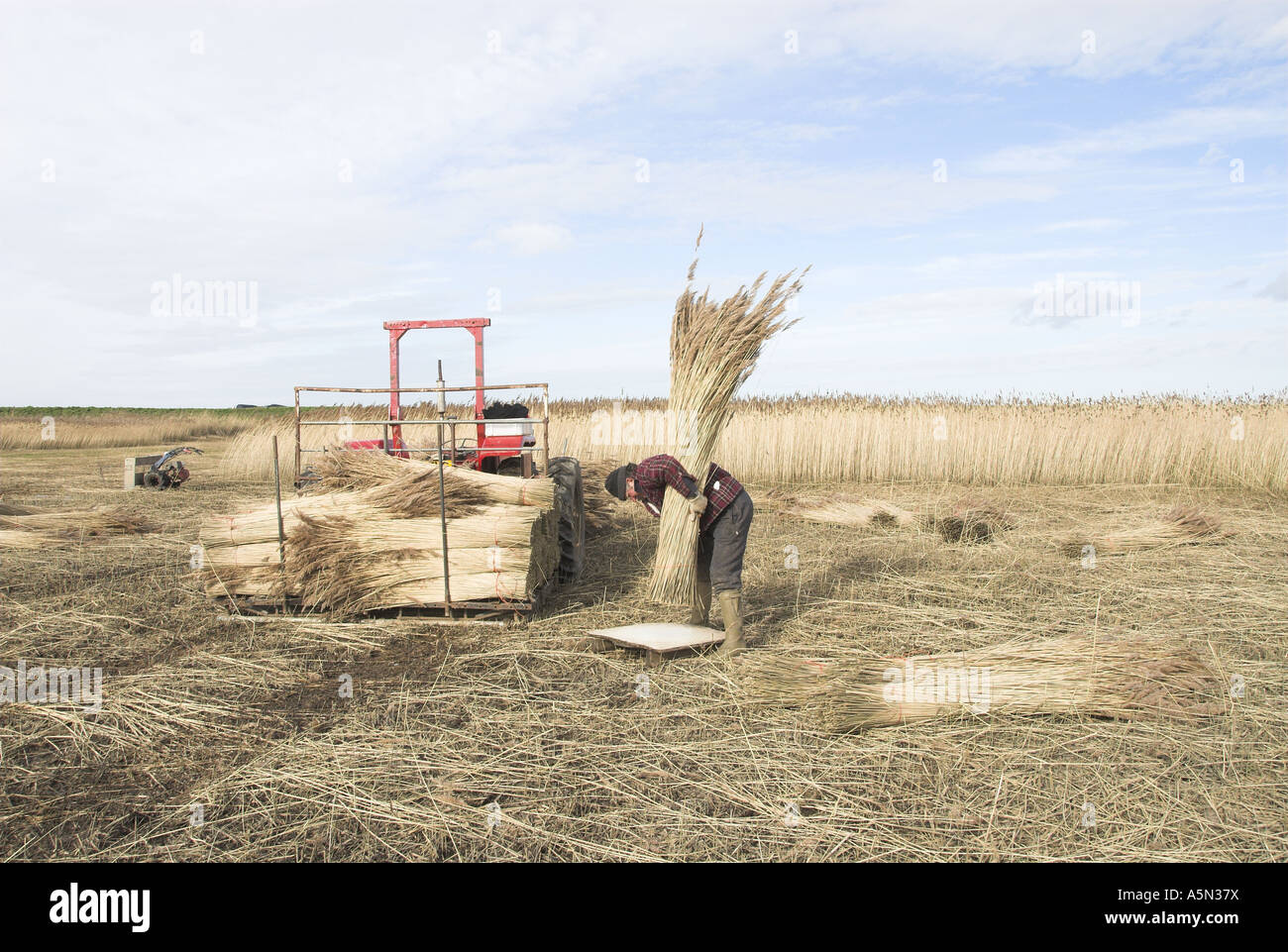 Bundling bed hi-res stock photography and images - Alamy