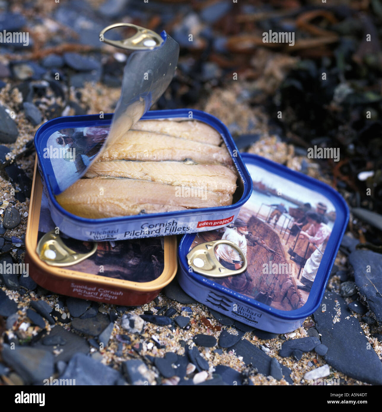 Pilchards tin hi-res stock photography and images - Alamy