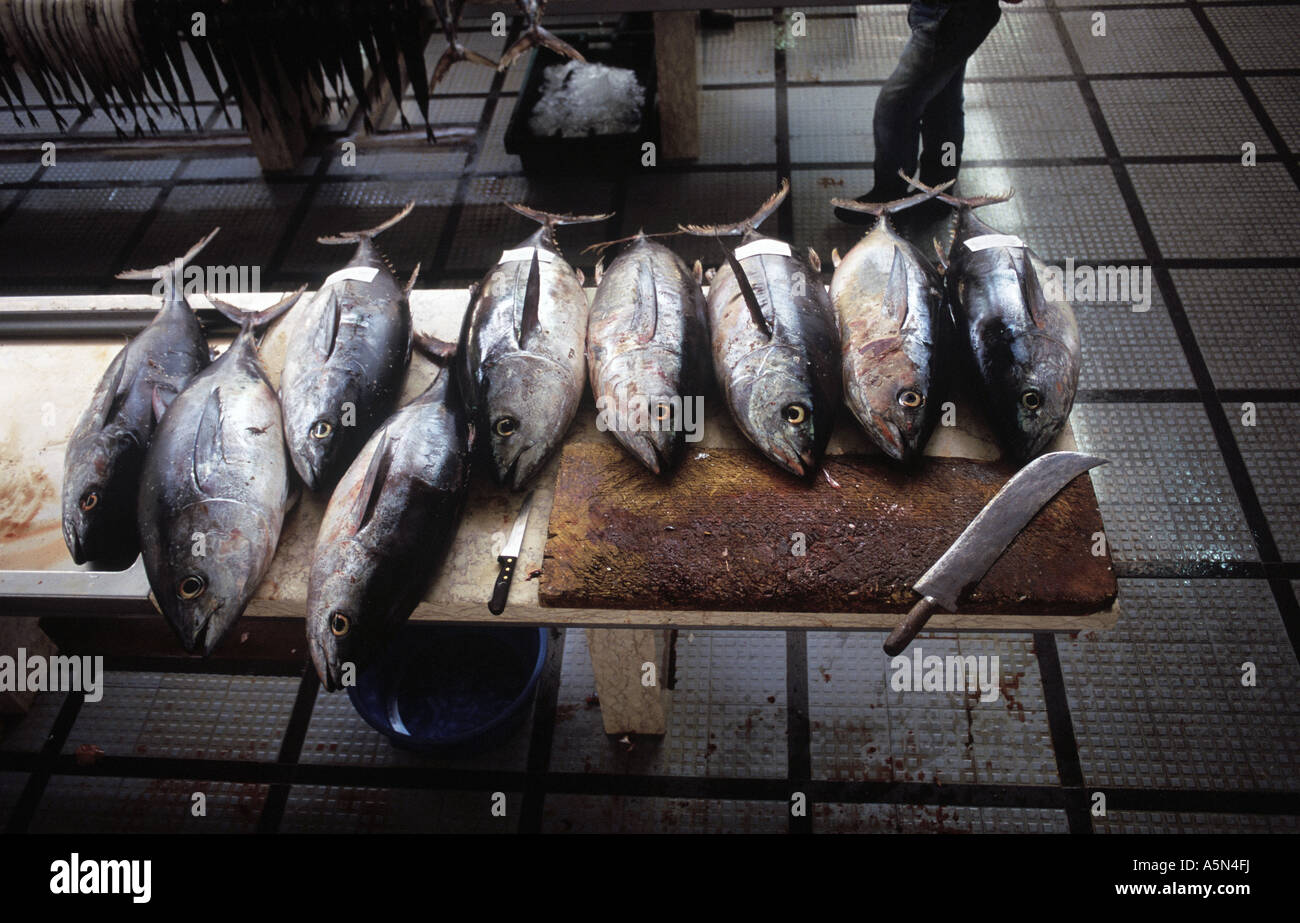 swordfish in a market, Funchal, Madeira, Portugal Stock Photo - Alamy
