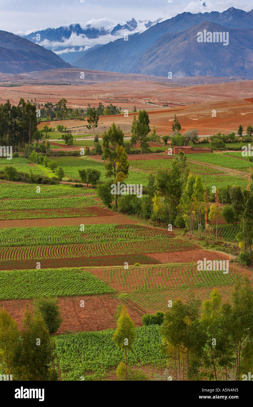 farmland nr Marras with the Urubamaba Cordillera above the Sacred ...