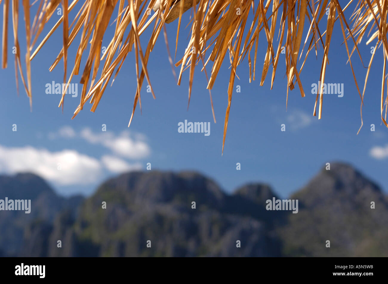 Grass roof hut and limestone mountains Vang Vieng Laos Stock Photo - Alamy