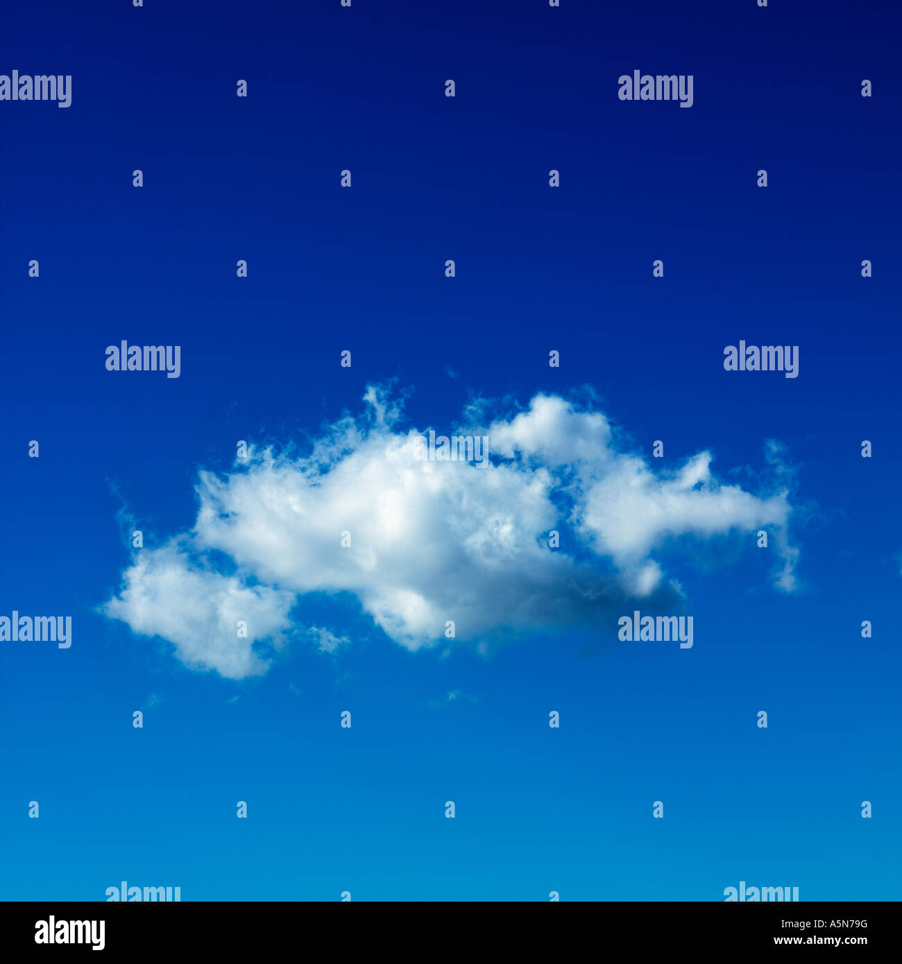 Lone puffy cumulus cloud in blue sky Stock Photo - Alamy