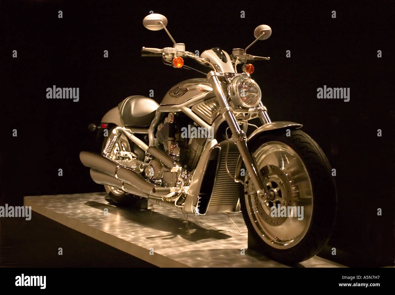 Harley davidson v rod hi-res stock photography and images - Alamy