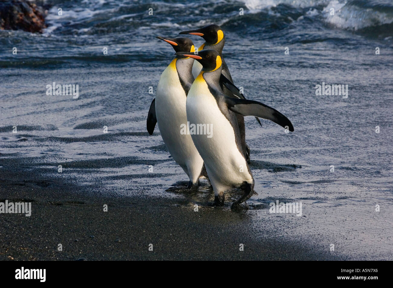 Mer island, australia hi-res stock photography and images - Alamy