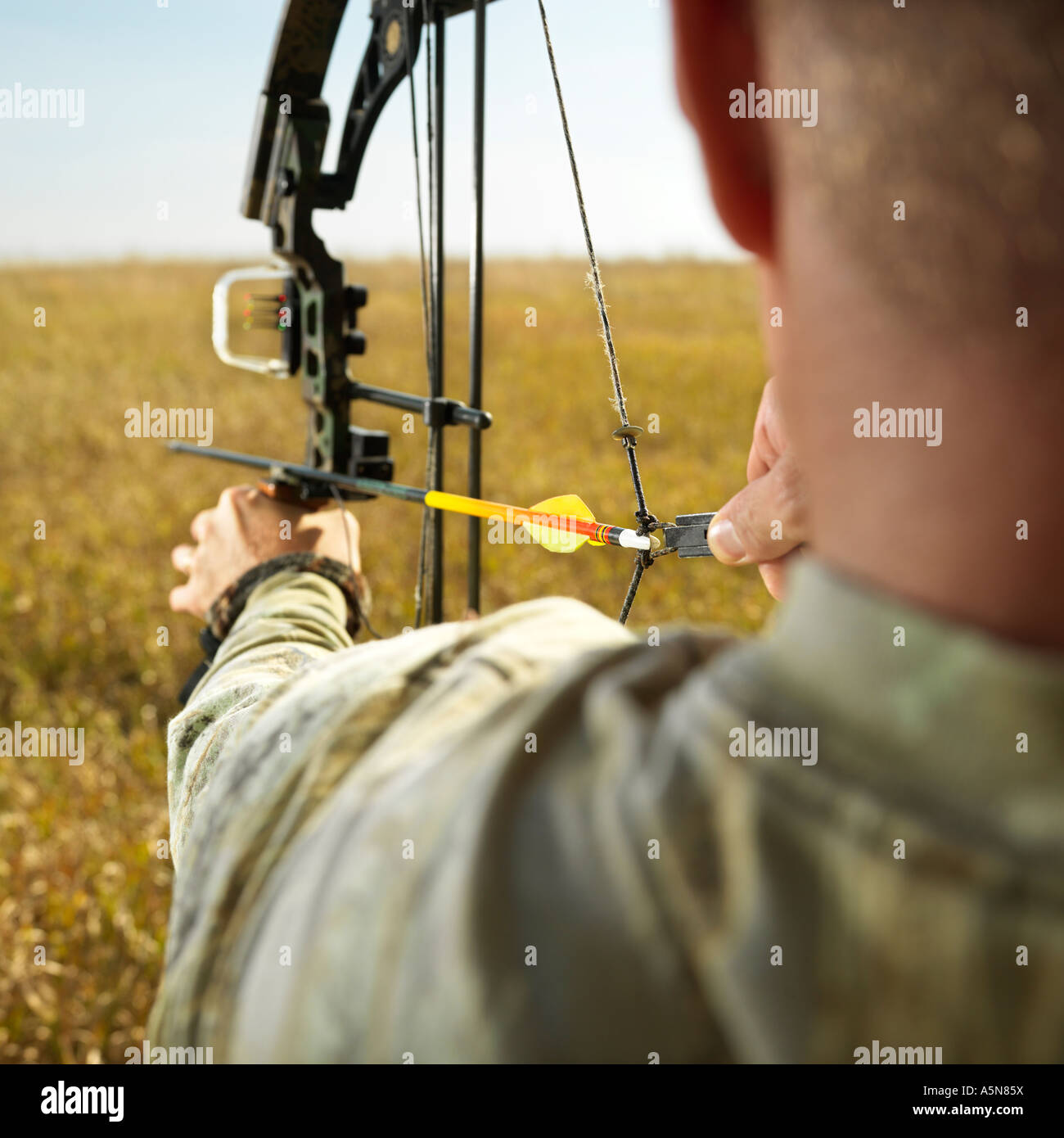 Bow hunter in field pulling back arrow on compund bow Stock Photo - Alamy