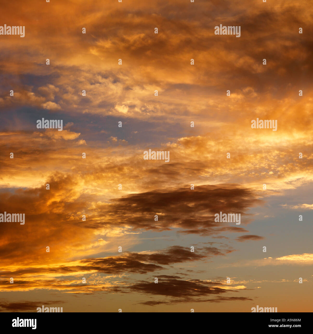 Golden clouds in sky with sunset Stock Photo - Alamy