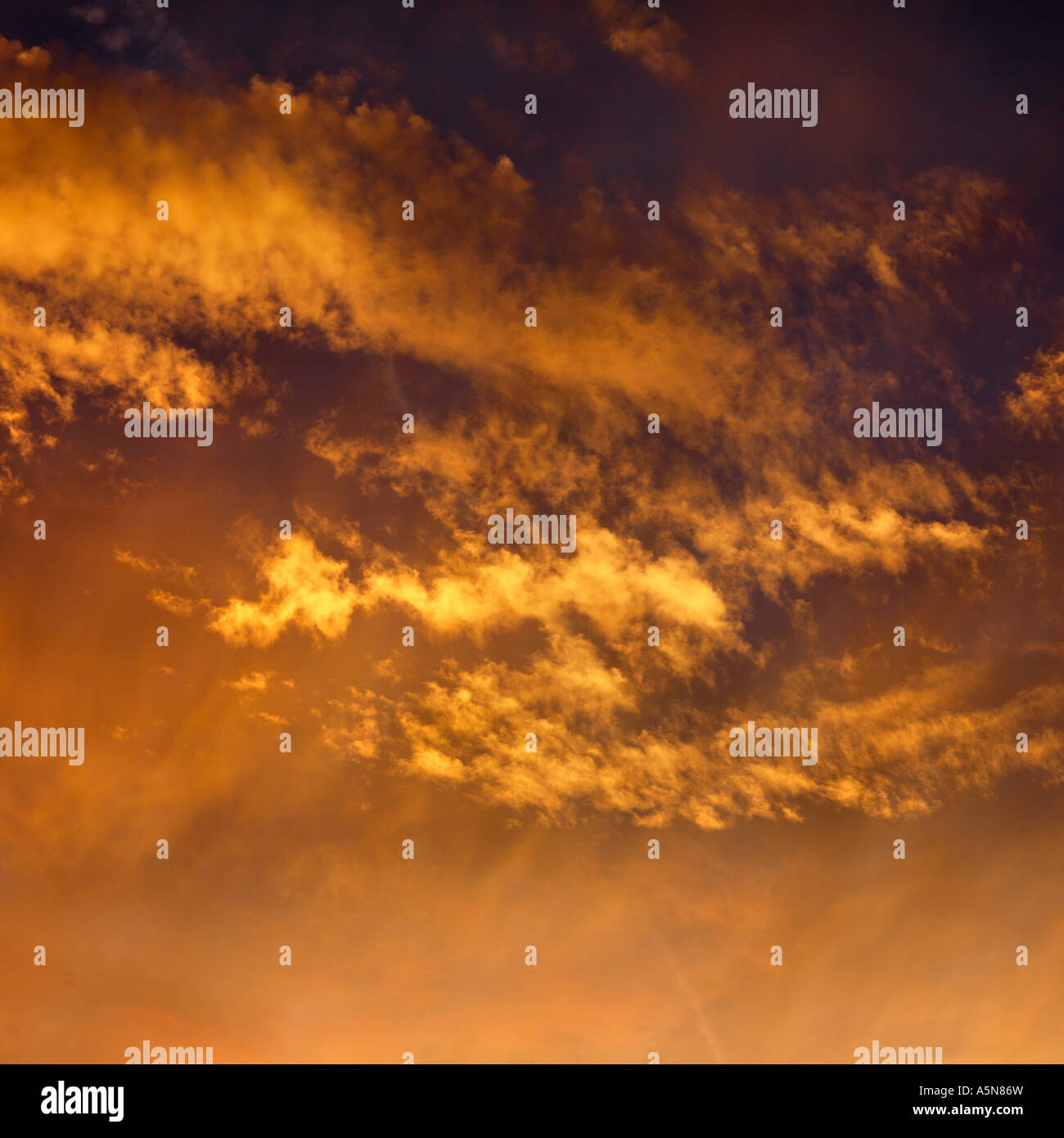 Golden clouds in sky with sunset Stock Photo - Alamy