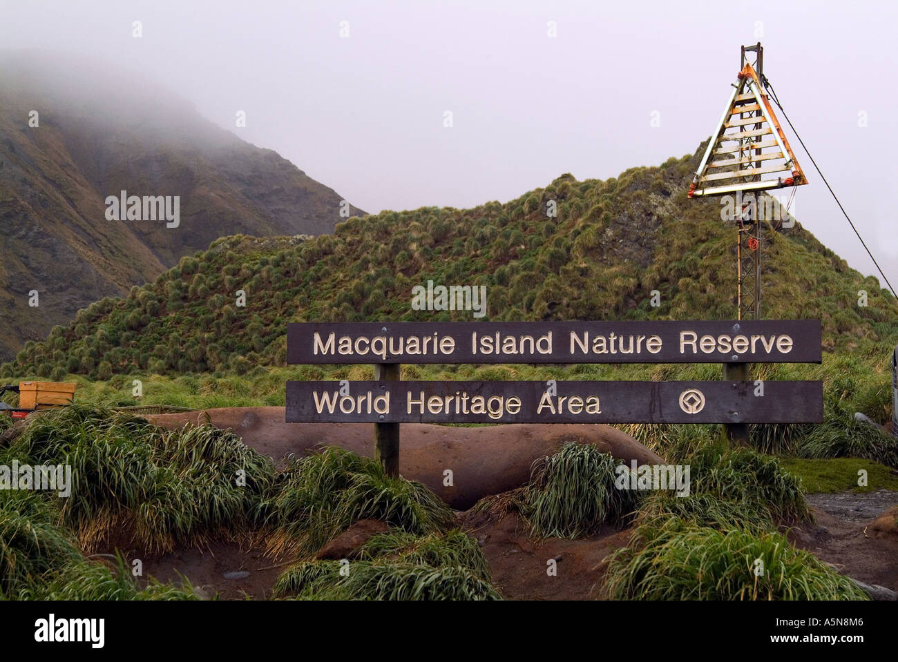 Anare scientific station Signpost of Macquarie Island, Australia Stock ...