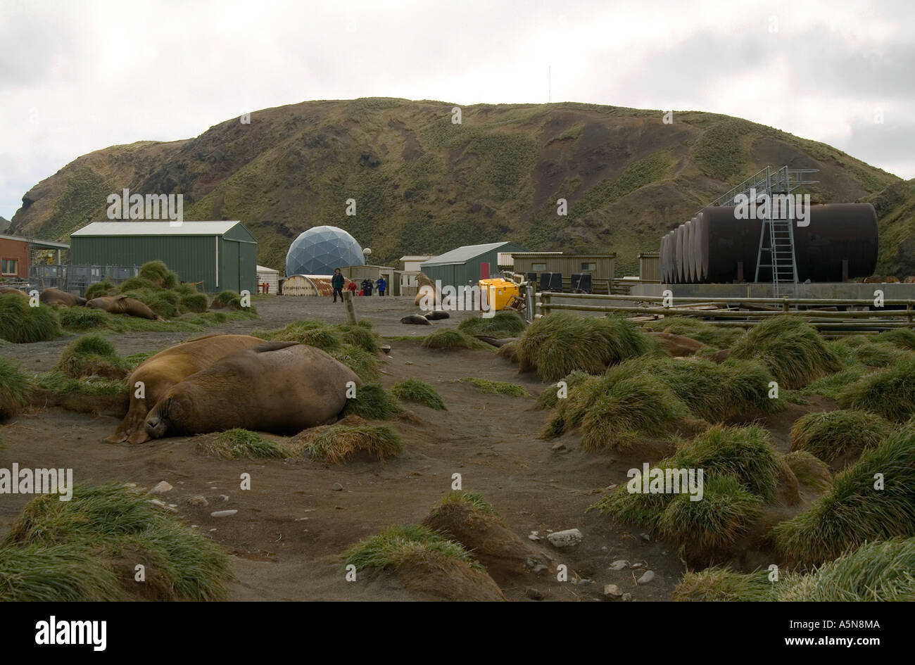 ANARESAT dome for satellite communications Anare scientific station ...