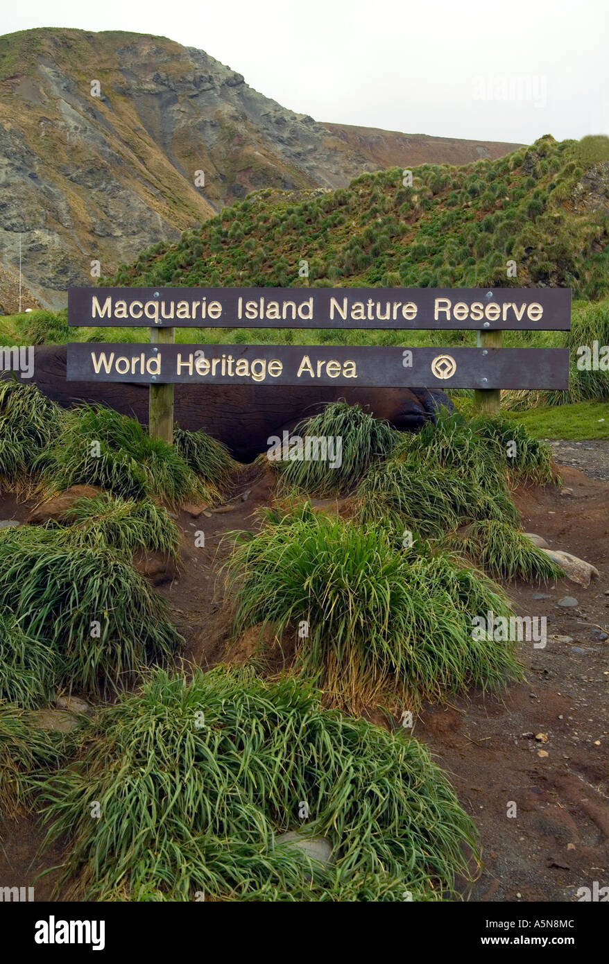 Anare scientific station Signpost of Macquarie Island, Australlia Stock ...