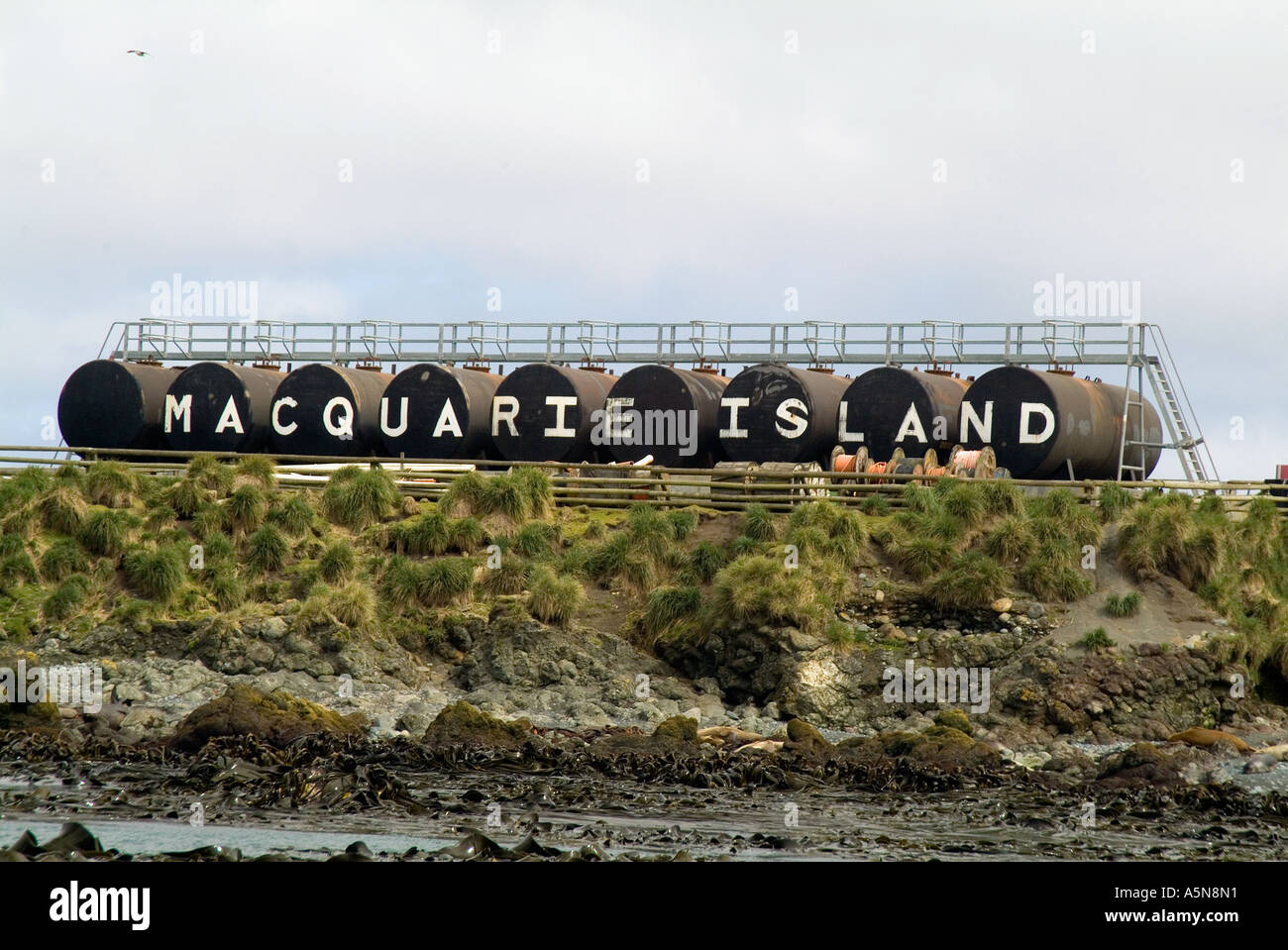 île macquarie hi-res stock photography and images - Alamy