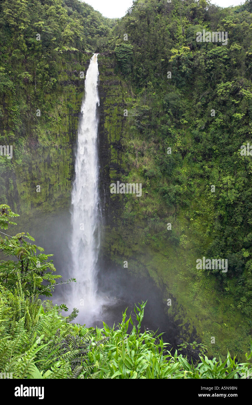 Akaka Falls and the Cliff Walls Stock Photo - Alamy