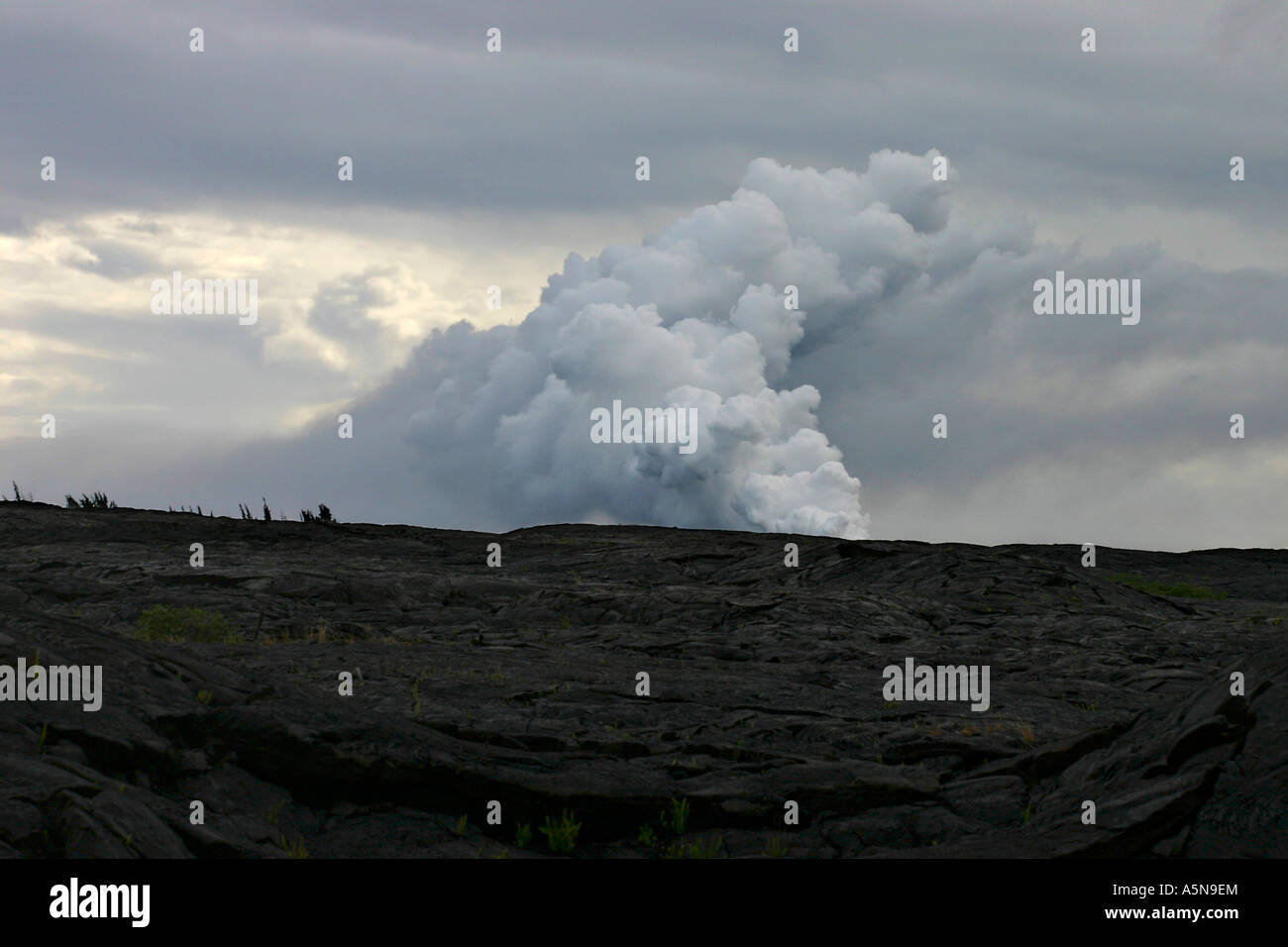 Volcano Meets Ocean: Pu'u O'o volcano spouting a dramatic plume of ...