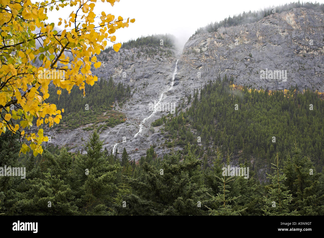 Small trickle water falling from hi-res stock photography and images ...