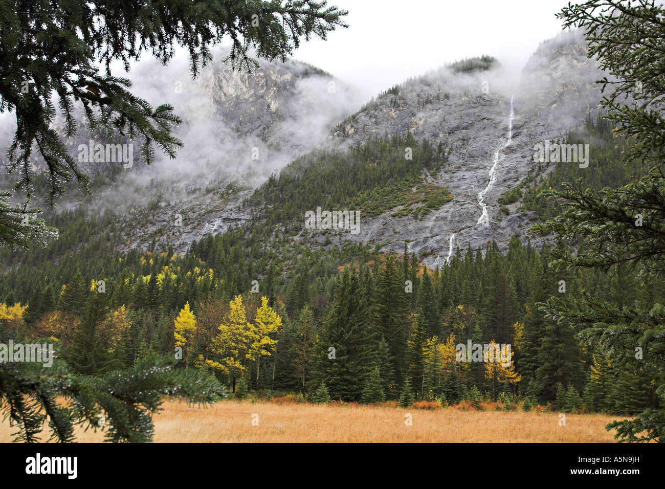 Small trickle water falling from hi-res stock photography and images ...